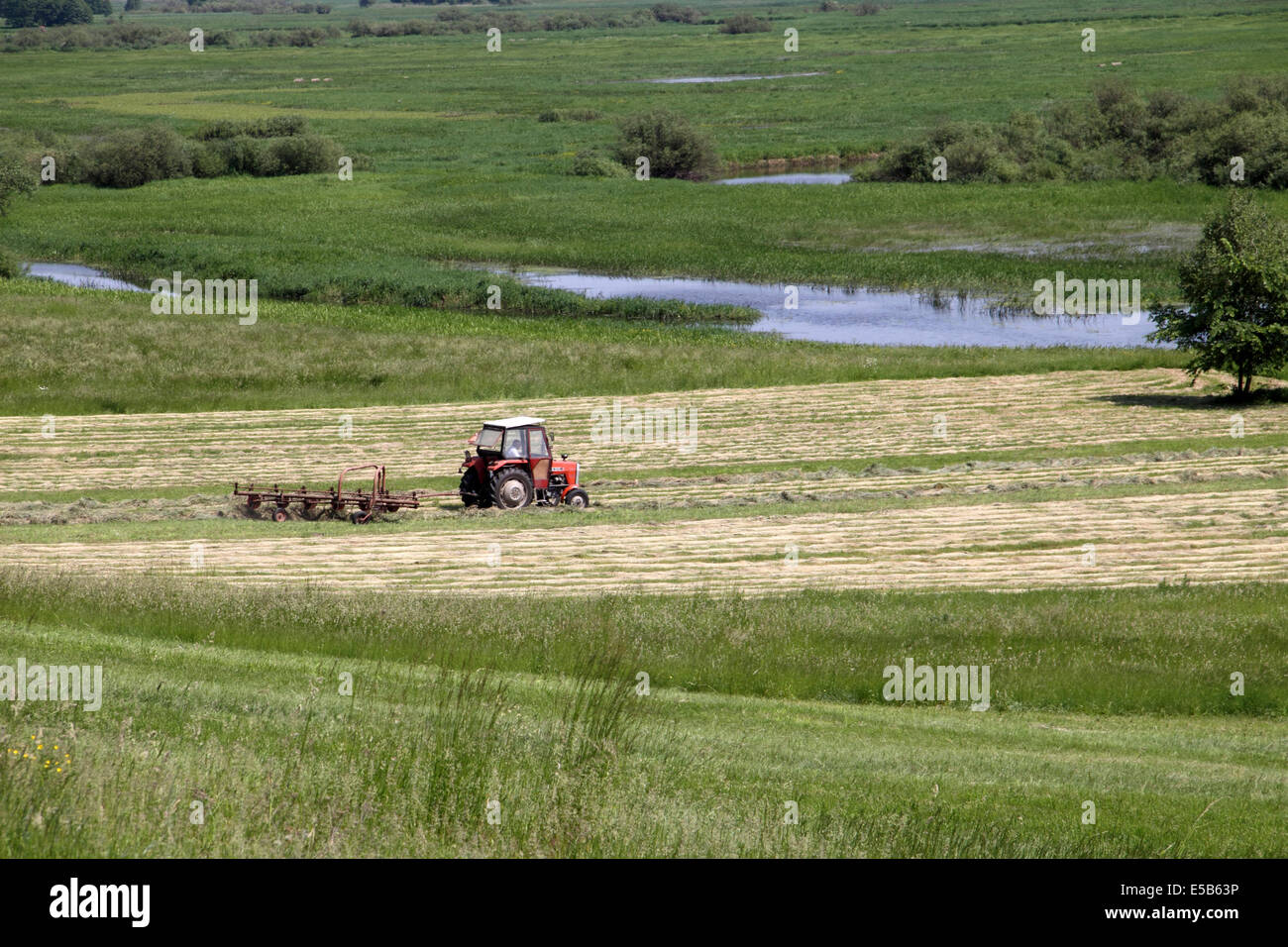 Biebrza marshes poland hi-res stock photography and images - Alamy