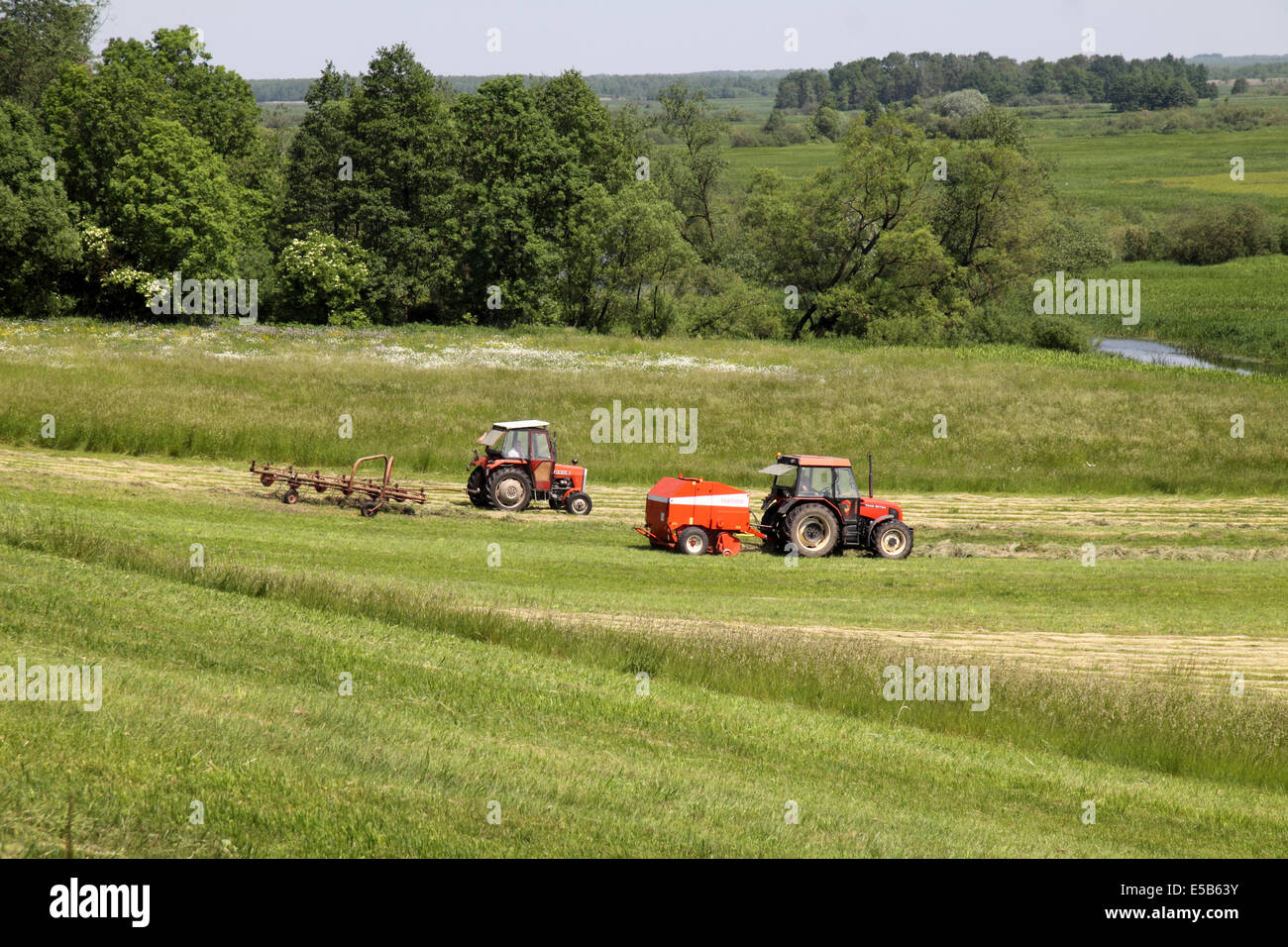 Polish agricultural scene Stock Photo - Alamy