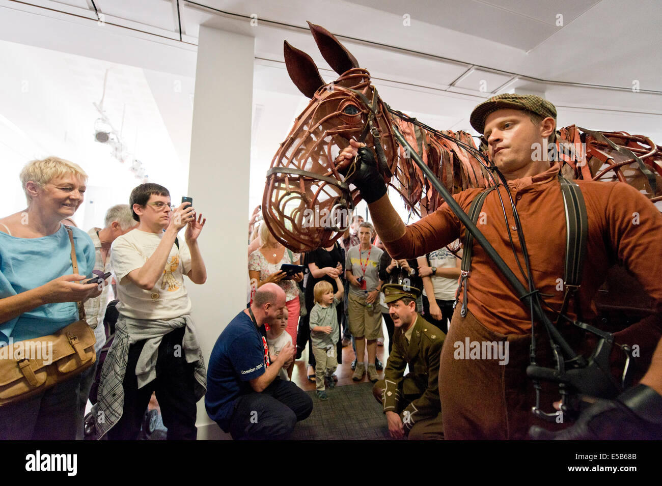 Joey War Horse High Resolution Stock Photography and Images - Alamy