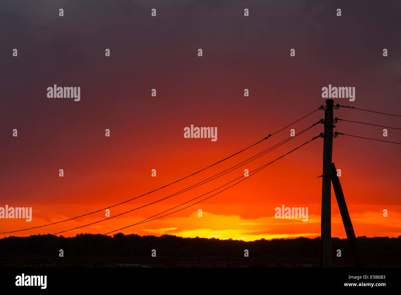 telegraph line in the sunset Stock Photo - Alamy