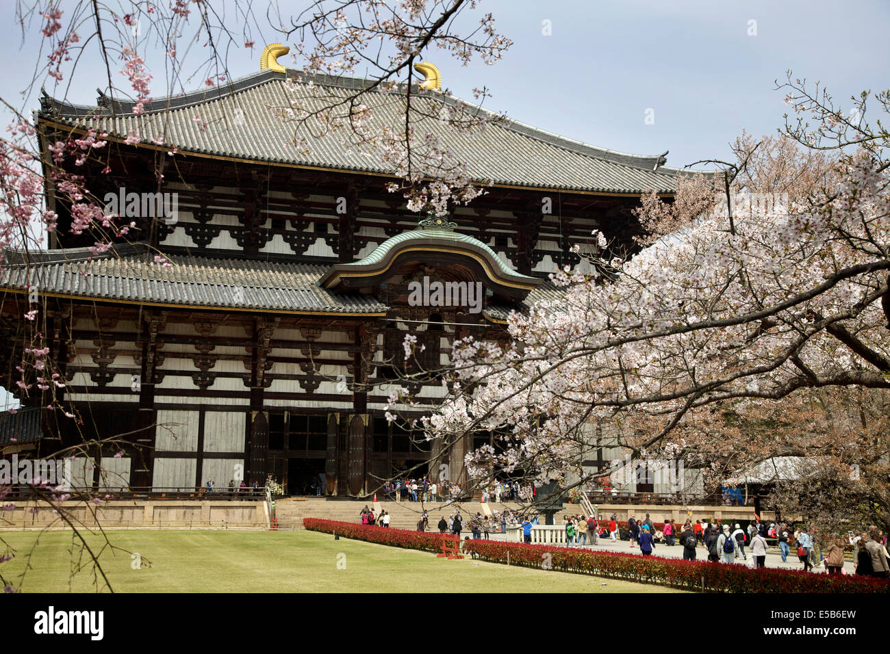 Todai-ji temple in Nara-koen park with a statue of Great Buddha, Nara ...