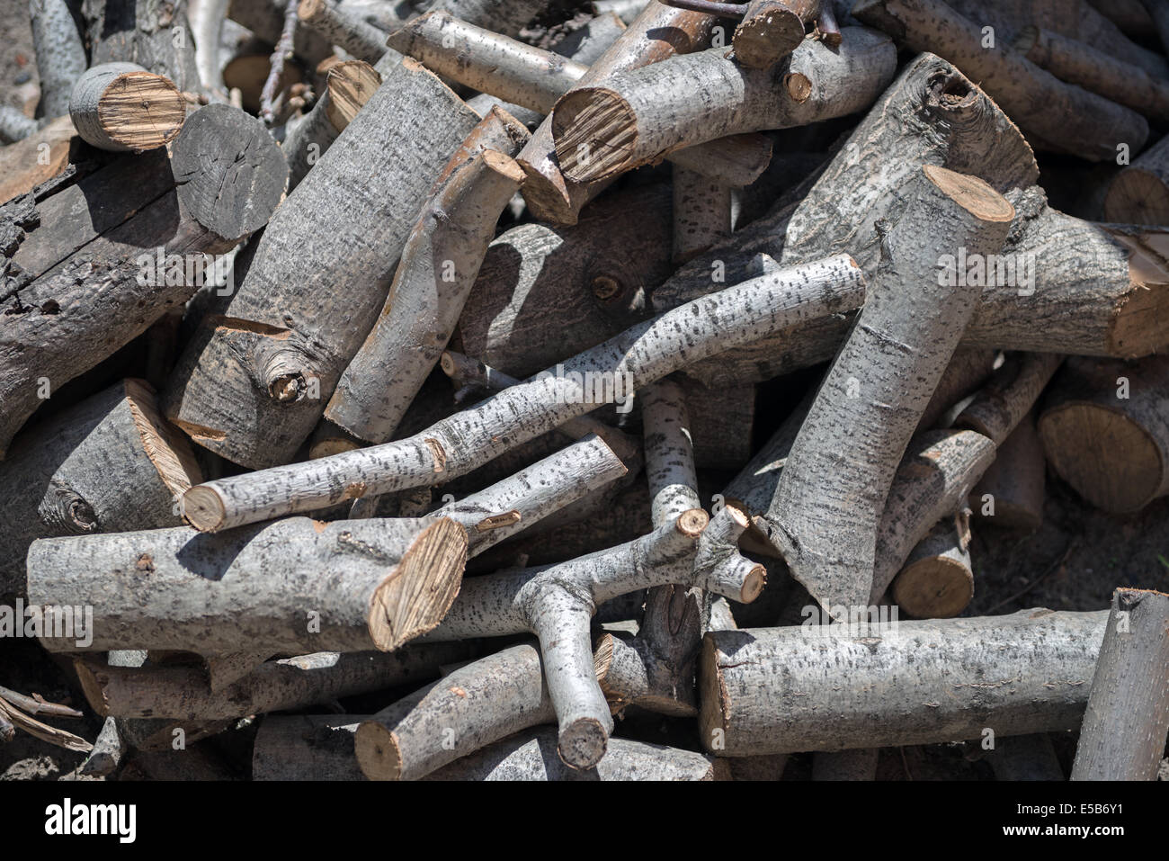 Pile sawn tree branches hi-res stock photography and images - Alamy