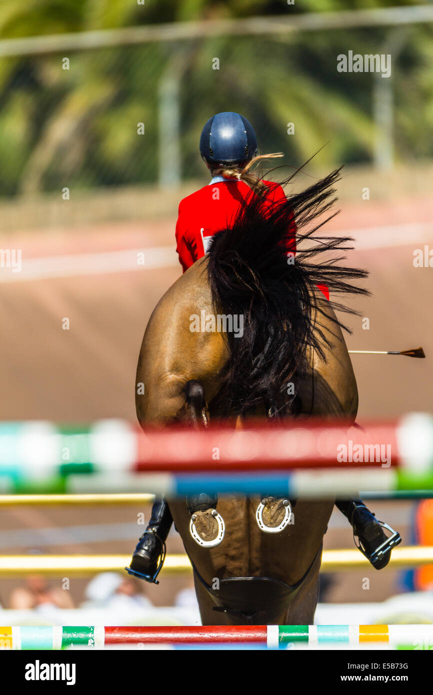 Horse Rider jumping over gate rear photo action Stock Photo - Alamy