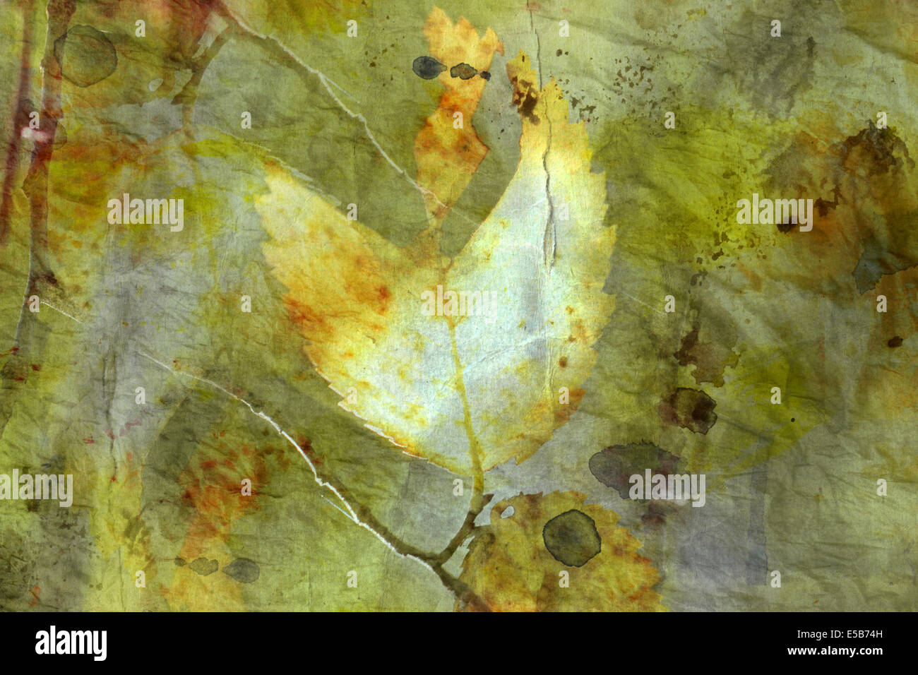 Autumn leaf on a crumpled watercolor paper with different shades Stock ...