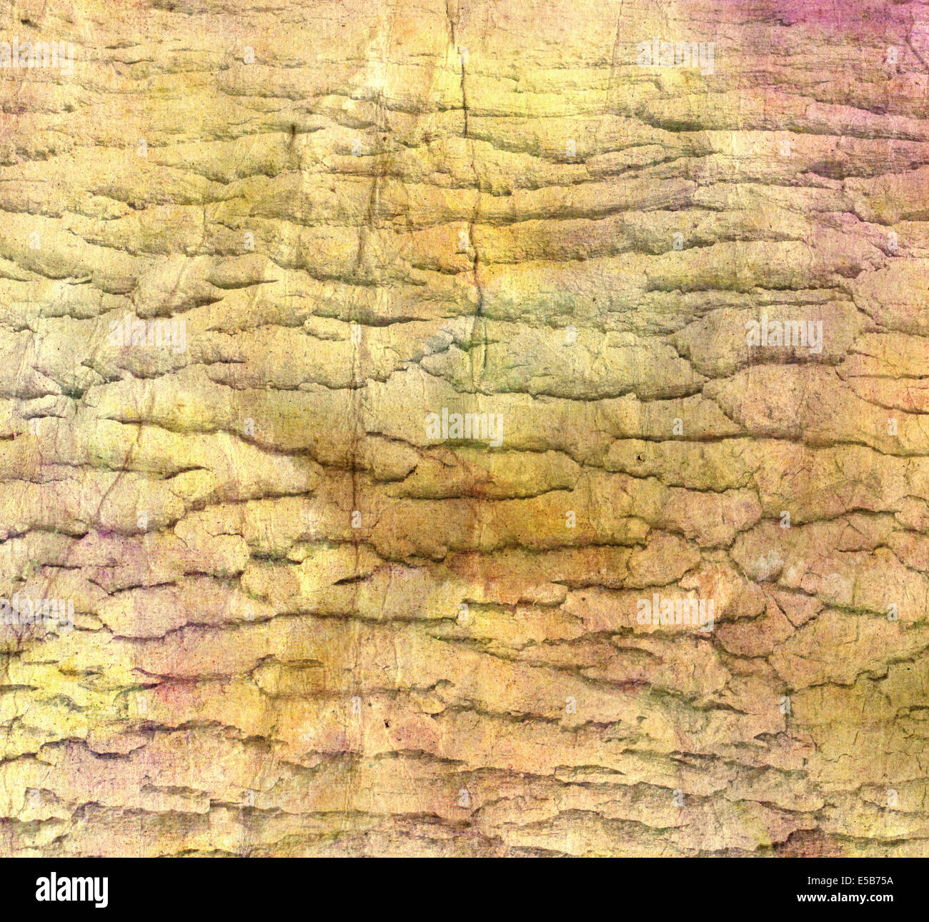 Vintage background with tree bark on a crumpled paper Stock Photo - Alamy