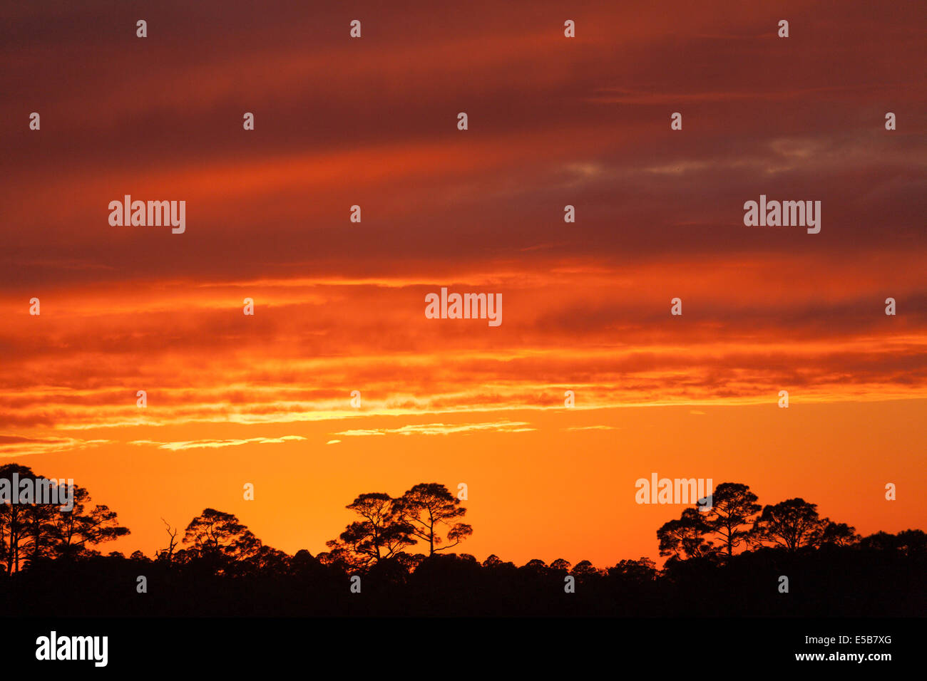 Flaming Orange Sunset in Florida, USA Stock Photo - Alamy
