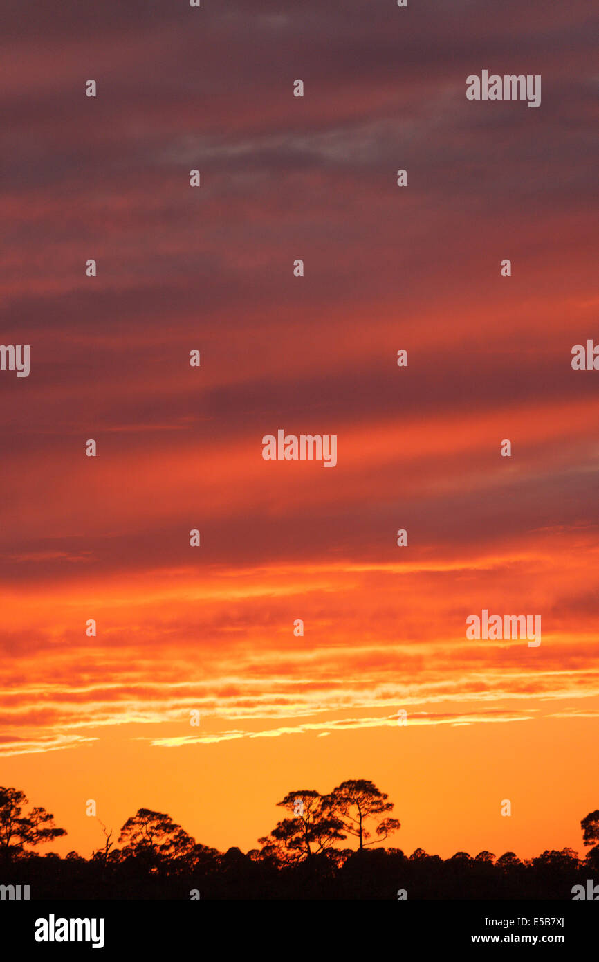 Flaming Orange Sunset in Florida, USA Stock Photo - Alamy