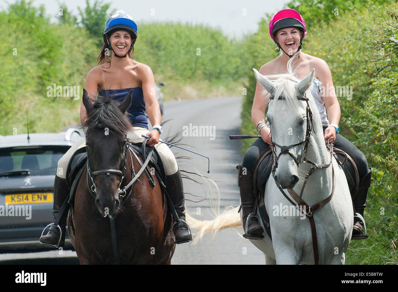 Wiltshire horse from the road hi-res stock photography and images - Alamy