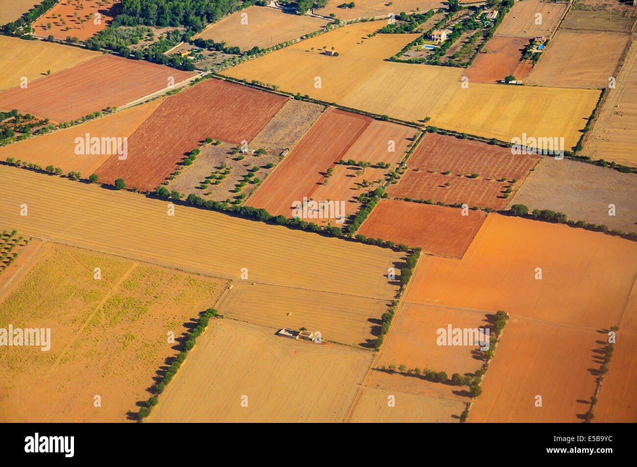 Mallorca landscape pattern in greens and earth colors. Mallorca ...