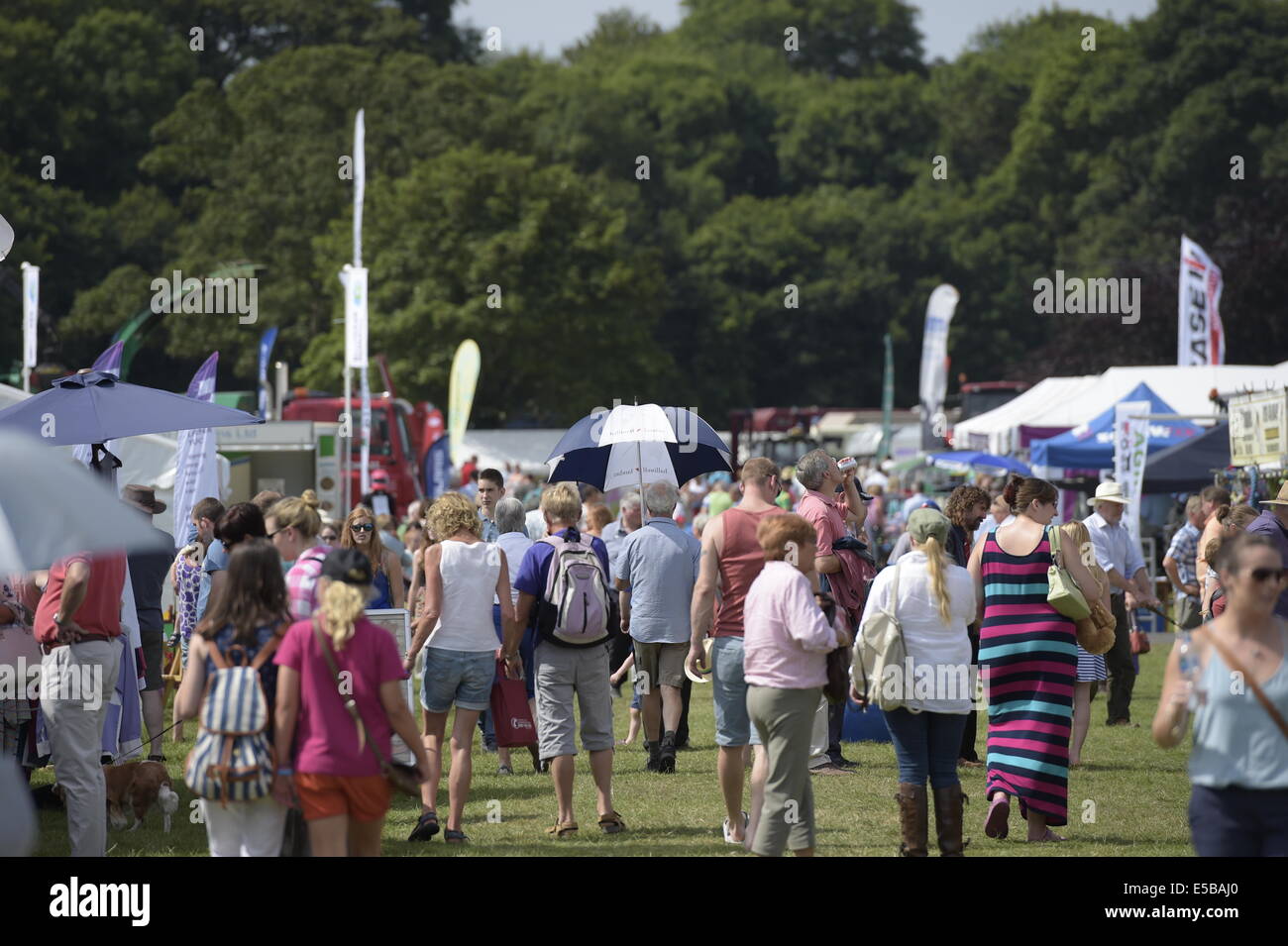 Border union showground hi-res stock photography and images - Alamy