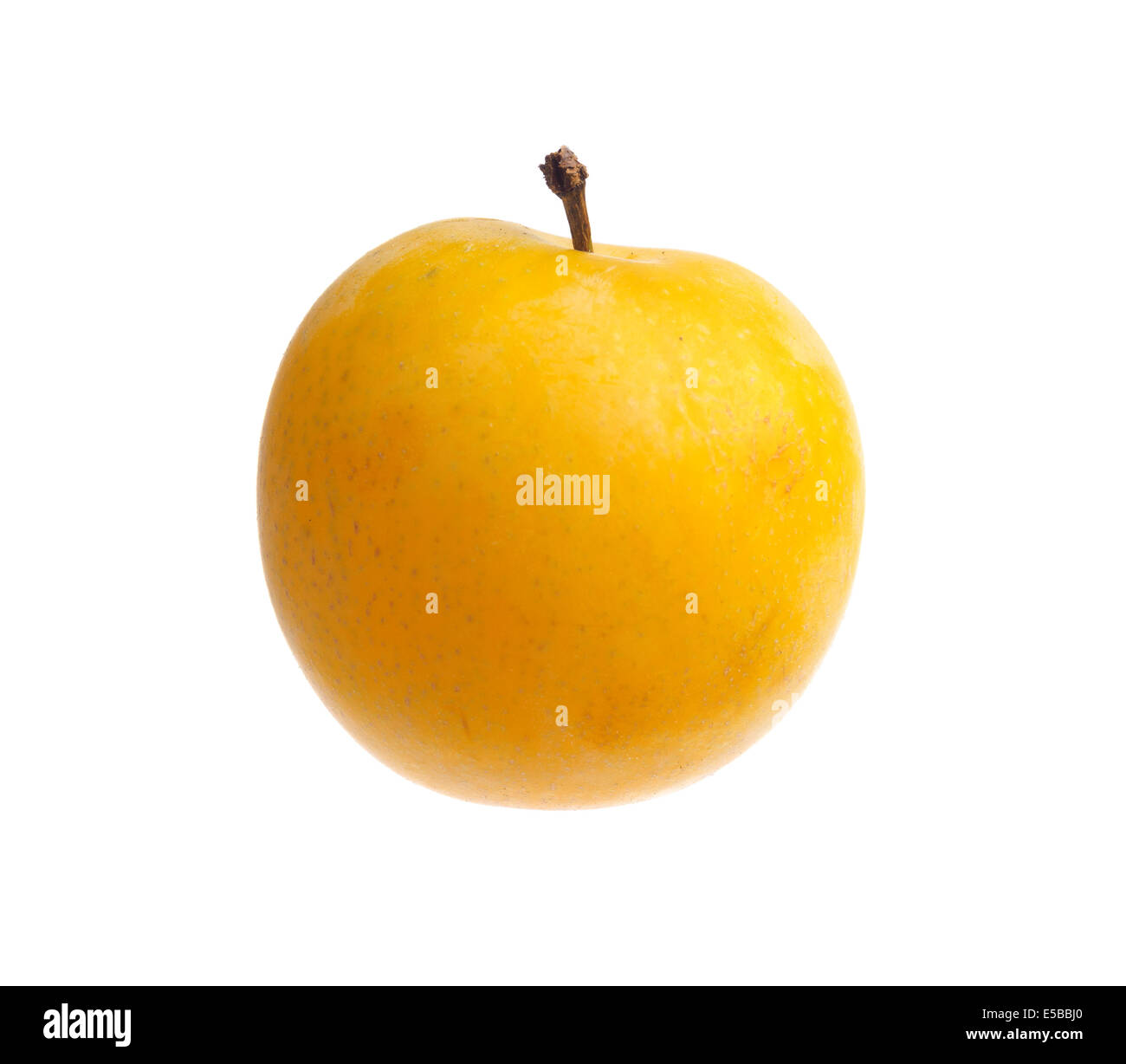 Yellow plum cut out isolated on white background Stock Photo - Alamy