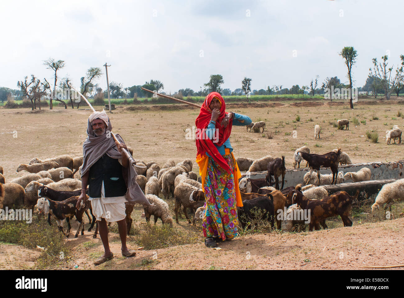 Can A Woman Be A Shepherd