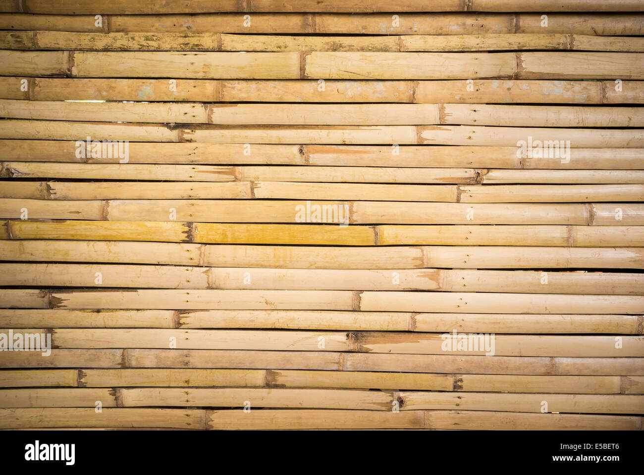 Bamboo tree brown hi-res stock photography and images - Alamy