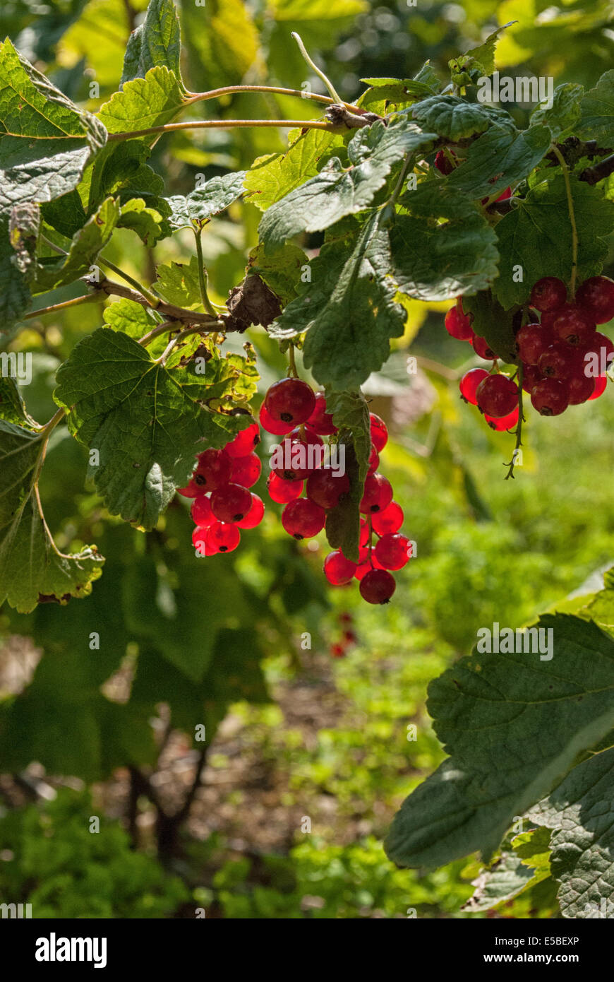 Currents hi-res stock photography and images - Alamy