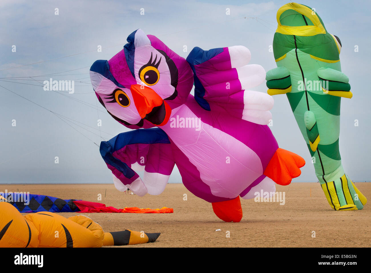 Lytham St Annes, Blackpool, 26th July, 2014. Inflated Parrot flying at ...
