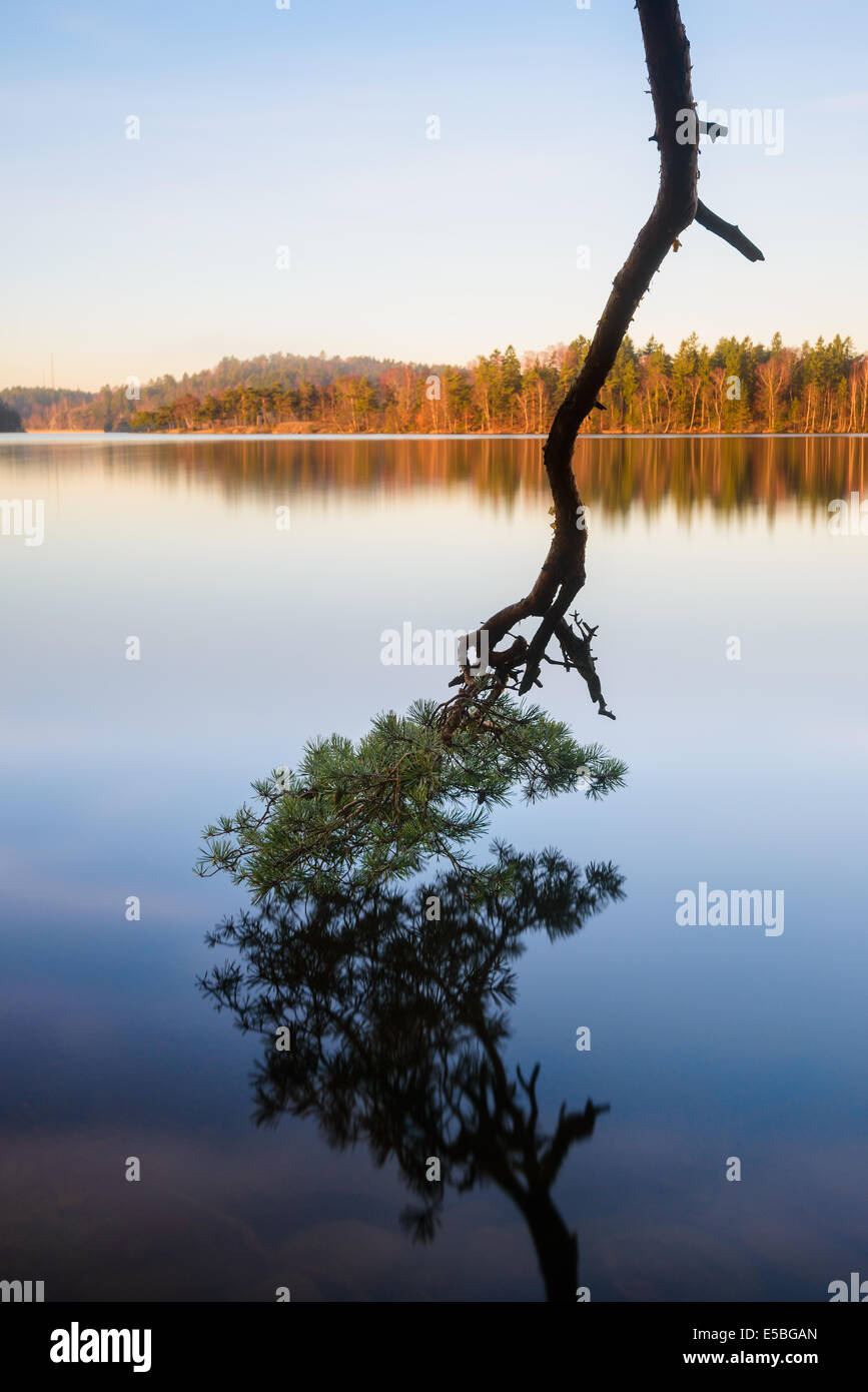 Calm water in lake hi-res stock photography and images - Alamy