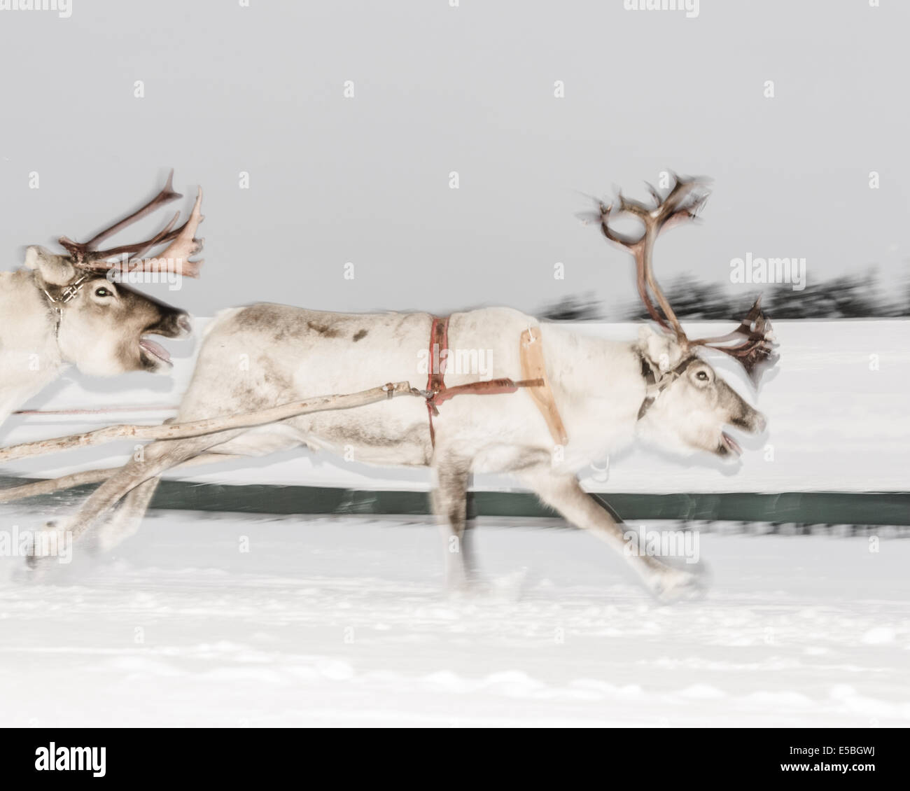 Utterstrom photography Stock Photos & Images from Alamy