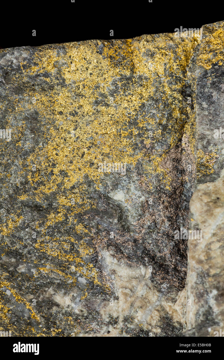 Native gold deposit in quartz Stock Photo - Alamy