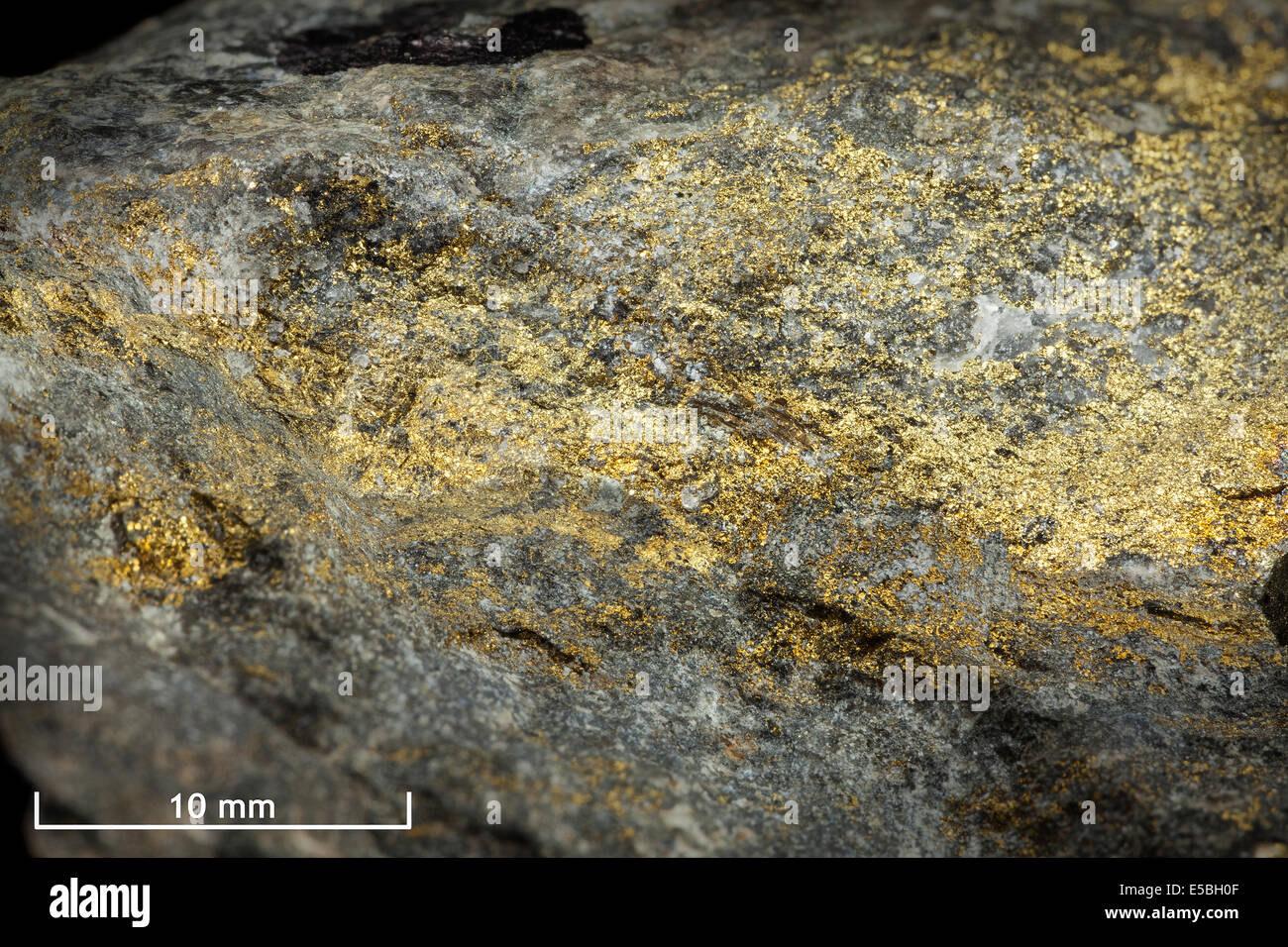Native gold deposit in quartz Stock Photo - Alamy