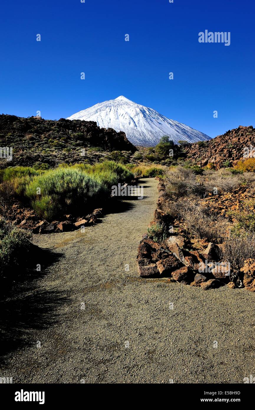 Footpath to Mount Teide Stock Photo - Alamy