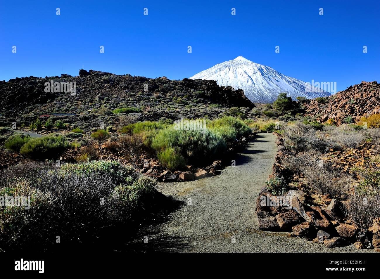 Footpath to Mount Teide Stock Photo - Alamy