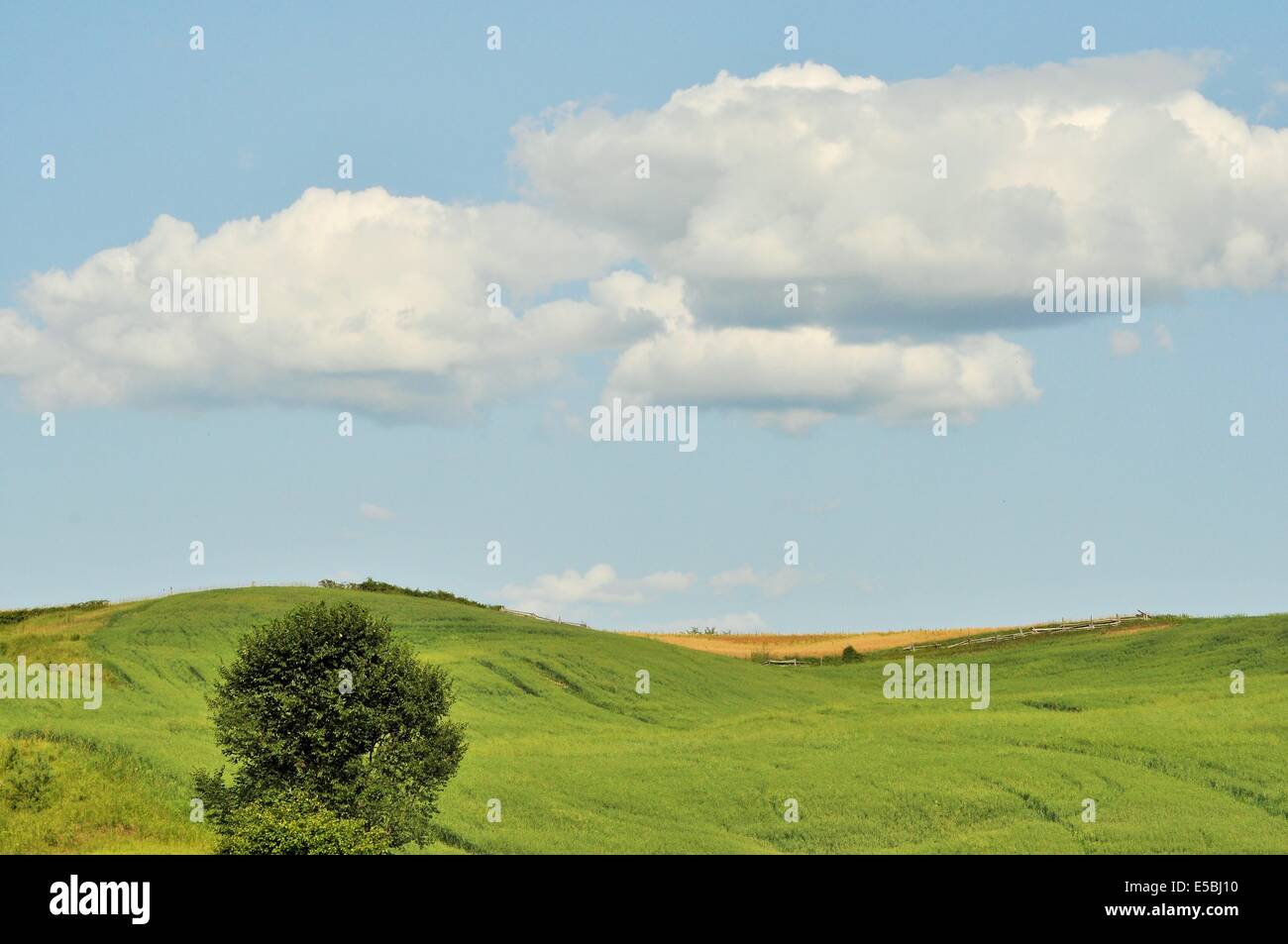 Crops and clouds hi-res stock photography and images - Alamy