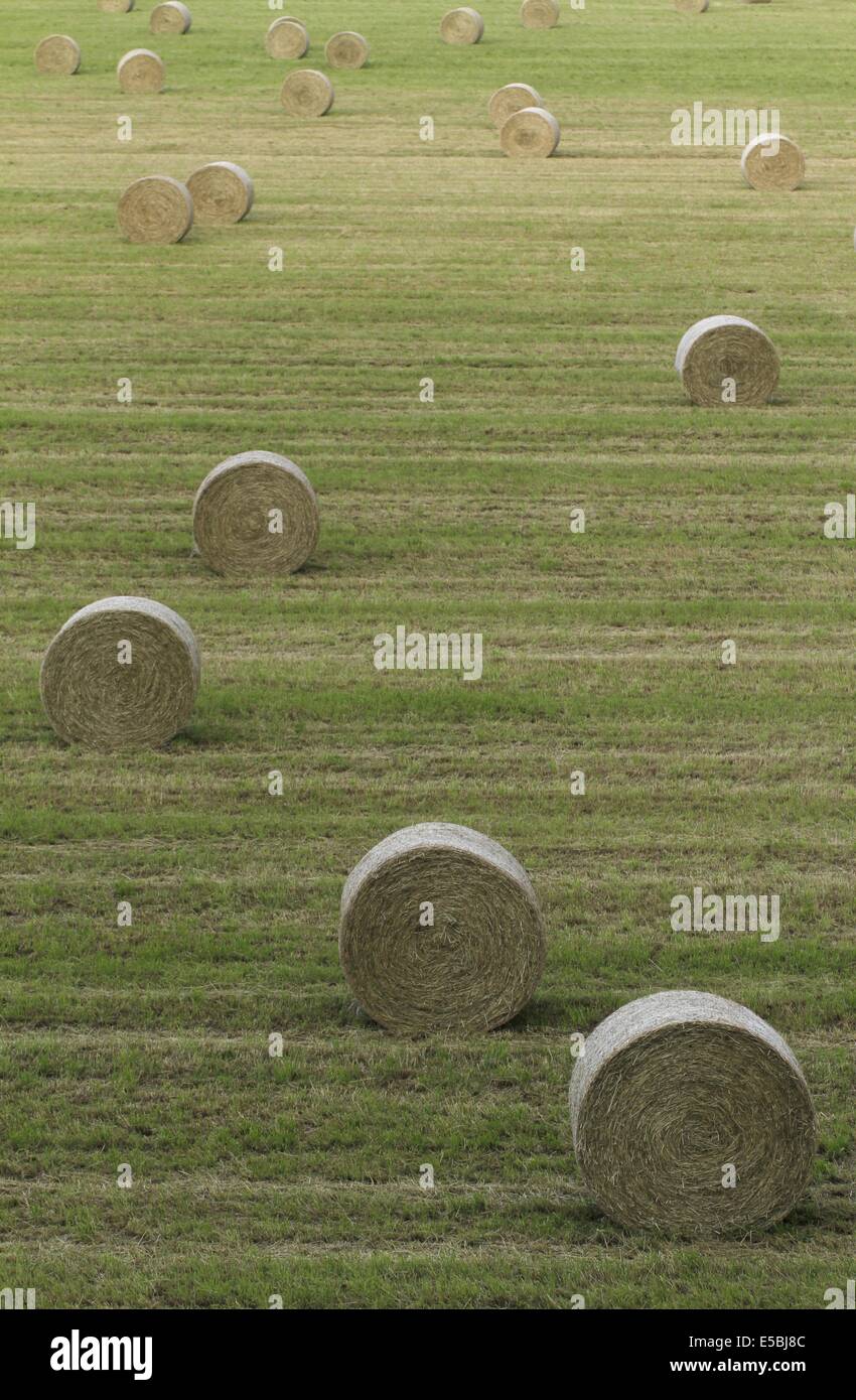 Hay bale texture hi-res stock photography and images - Alamy