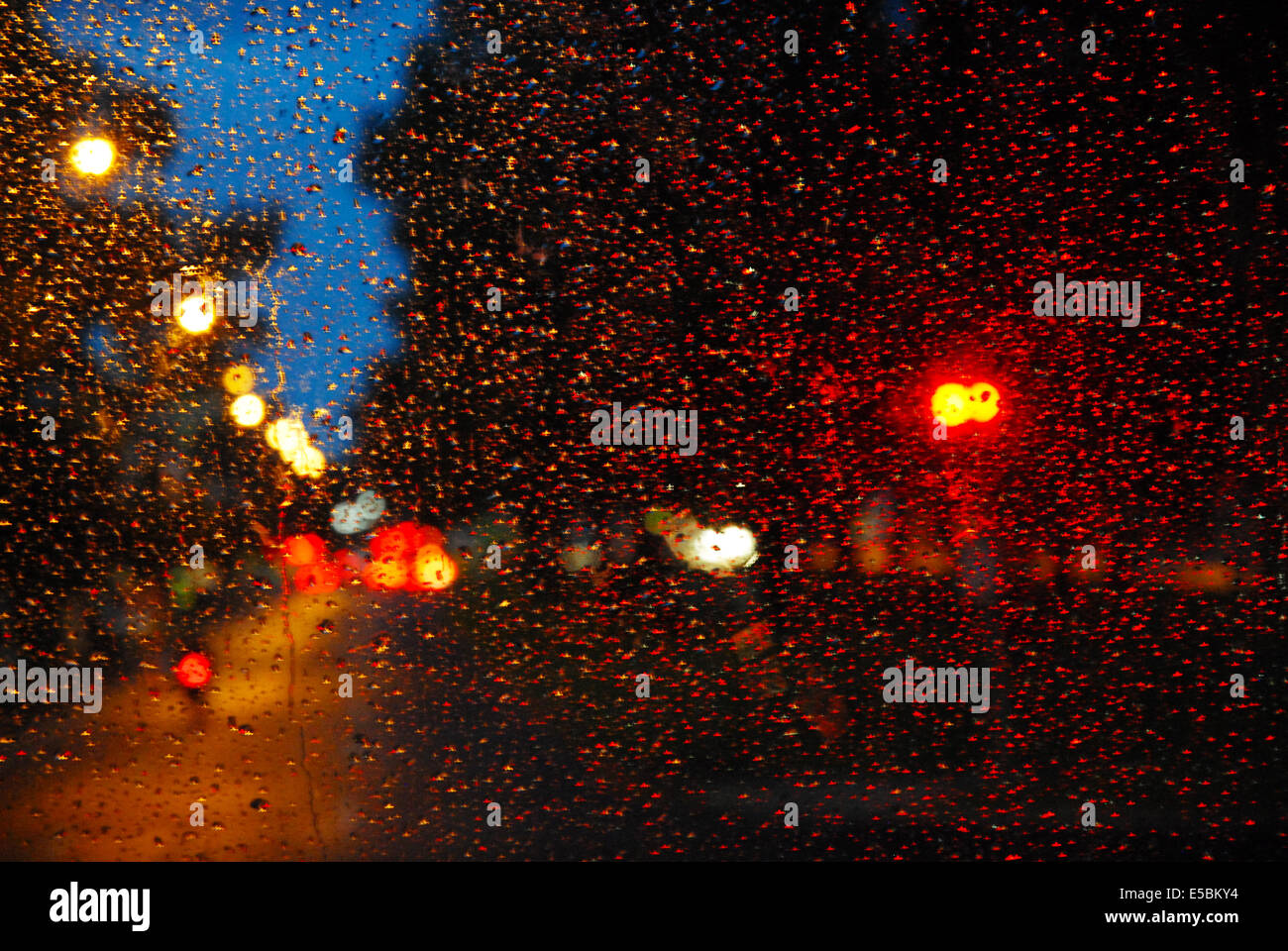 Street lights, seen through a bus window, Canberra, ACT, Australia ...