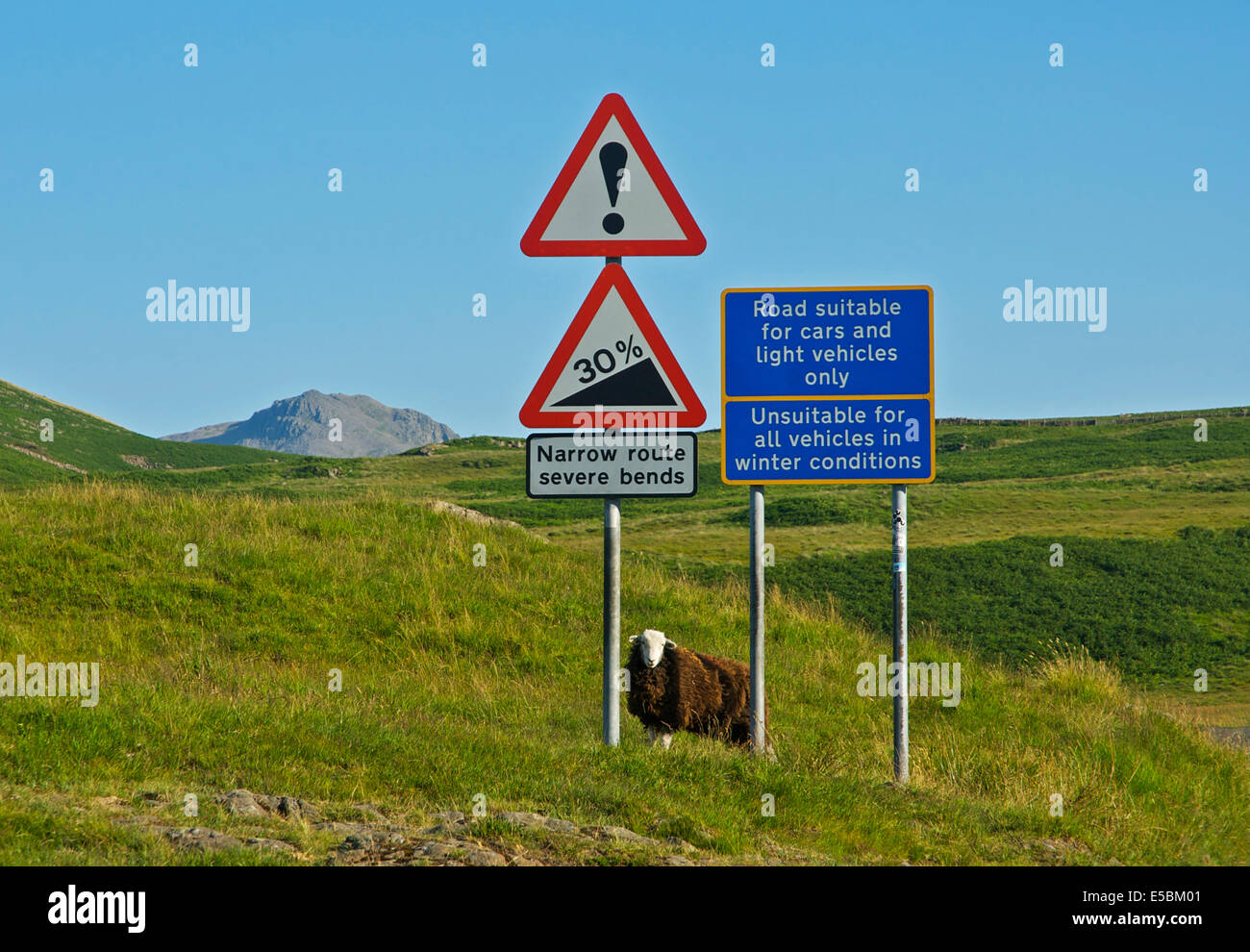 Herdwick Sheep with sign for Hardknott Pass, Cockley Beck, Lake ...