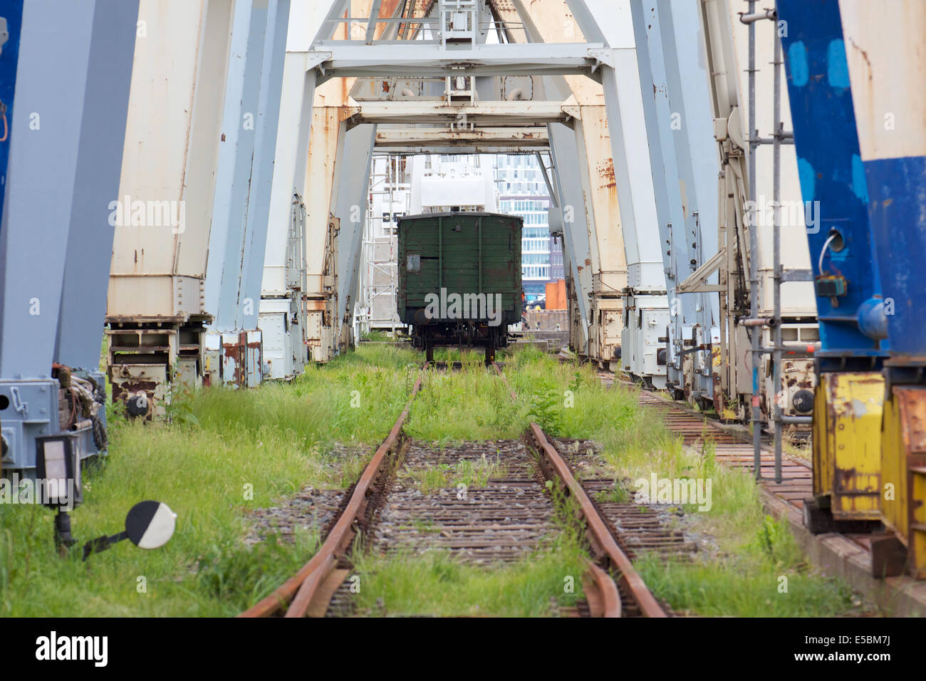 Rusty overgrown train tracks run underneath decaying loading cranes at ...