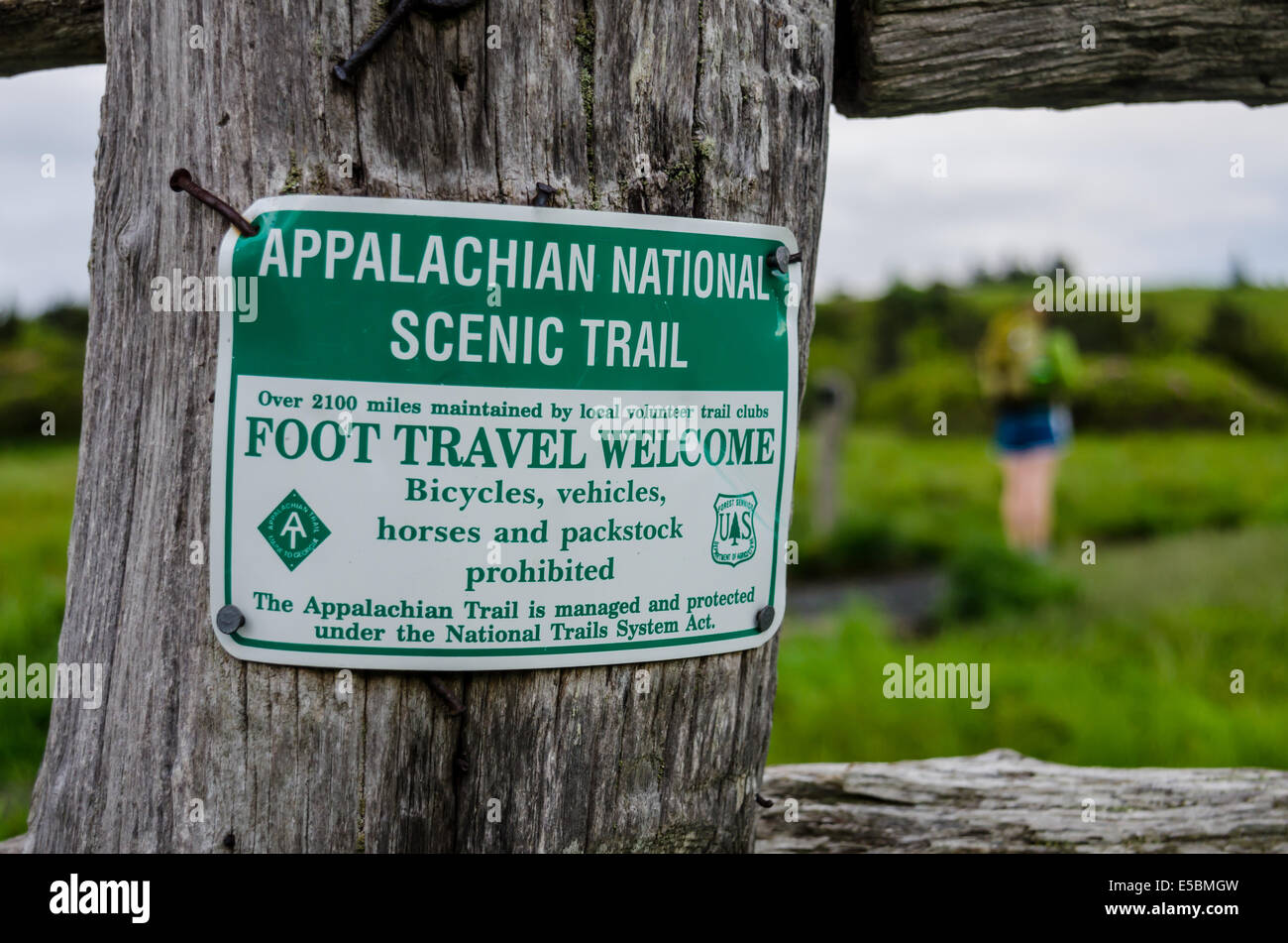 A white and green sign nailed to a fence post labels the famous ...