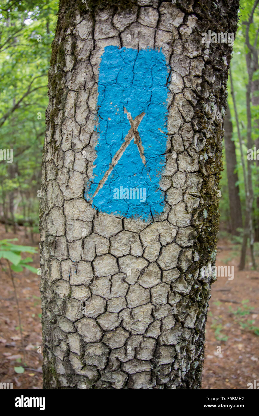 Blaze the trail hi-res stock photography and images - Alamy