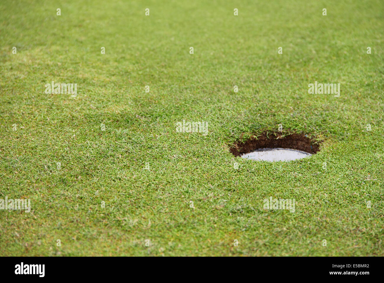 Golf hole on green grass close up view Stock Photo - Alamy