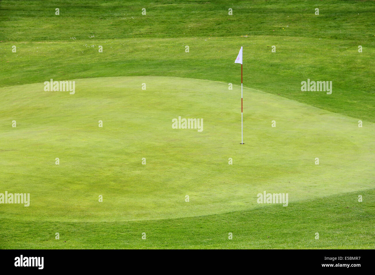 Golf flag on the green grass field close up Stock Photo - Alamy