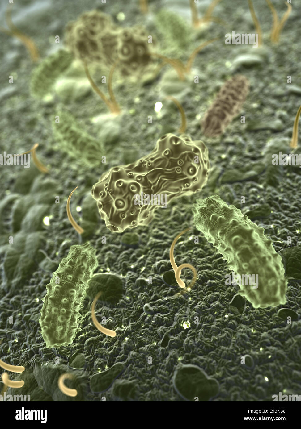Fantasy microbes bacteria virus science hi-res stock photography and ...