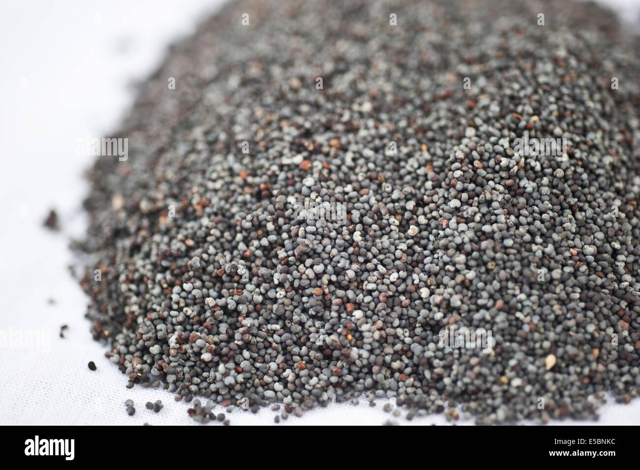 A pile of Poppy seeds spread on a white background on a sunny day Stock ...