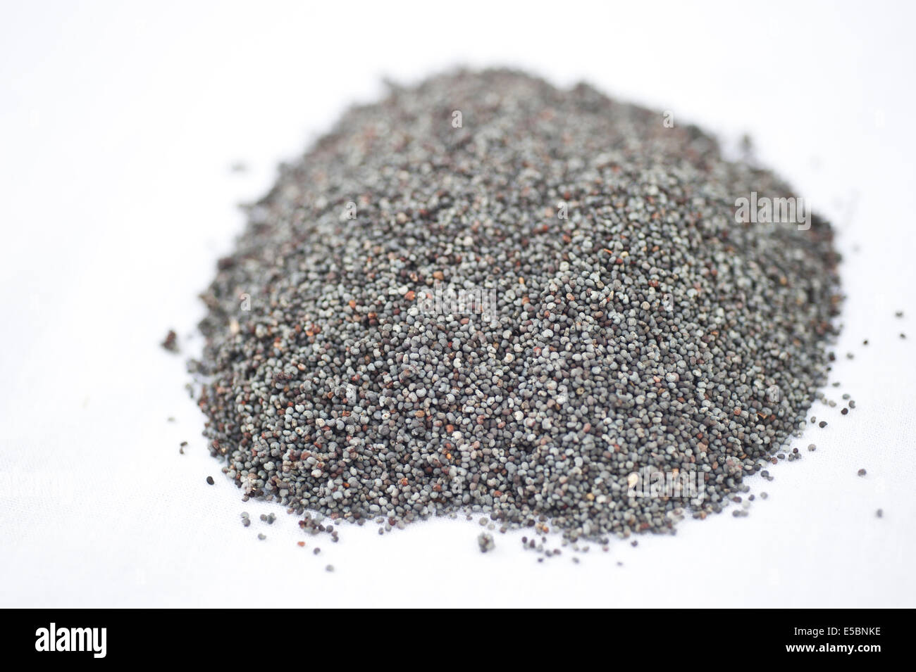 Closeup poppy seeds opium Cut Out Stock Images & Pictures - Alamy