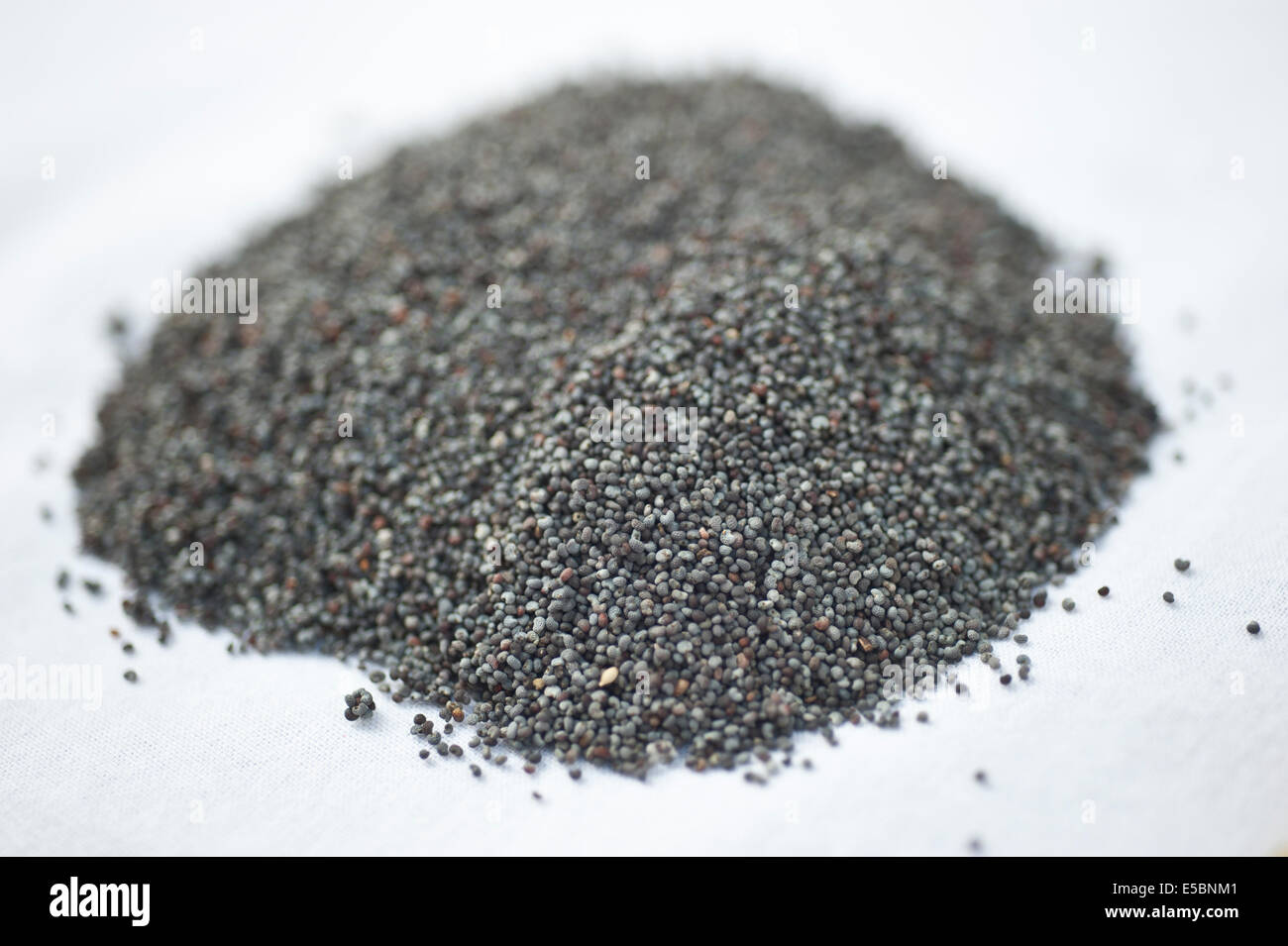 A pile of Poppy seeds spread on a white background on a sunny day Stock ...
