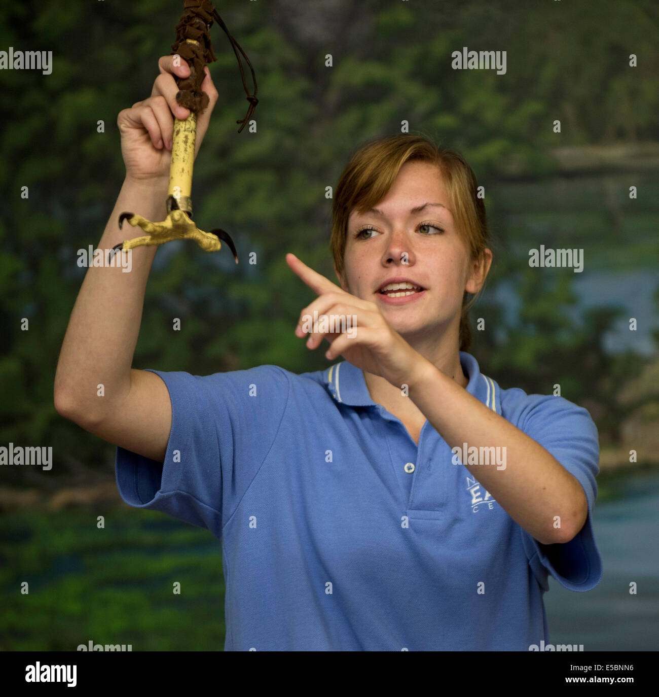 Five bald eagles hi-res stock photography and images - Alamy