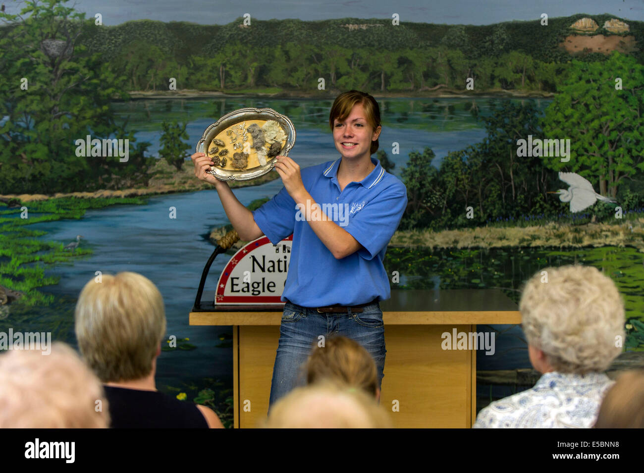 Five bald eagles hi-res stock photography and images - Alamy