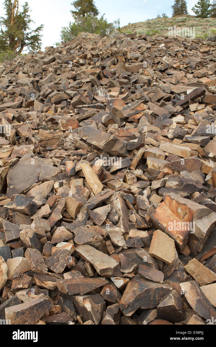 Ice wedging hi-res stock photography and images - Alamy