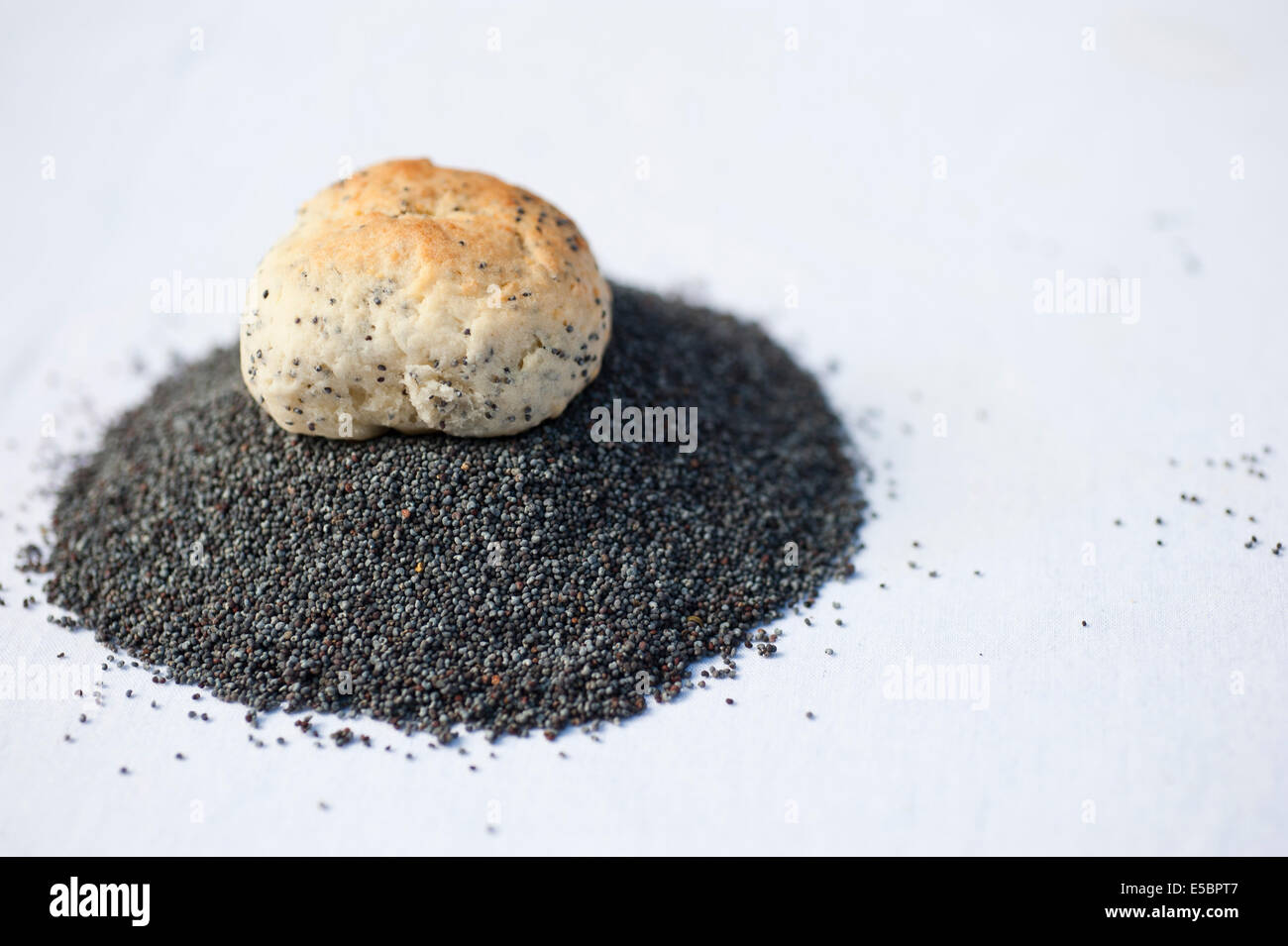 A handmade poppy seed cookie on a pile of poppy seeds on a white ...