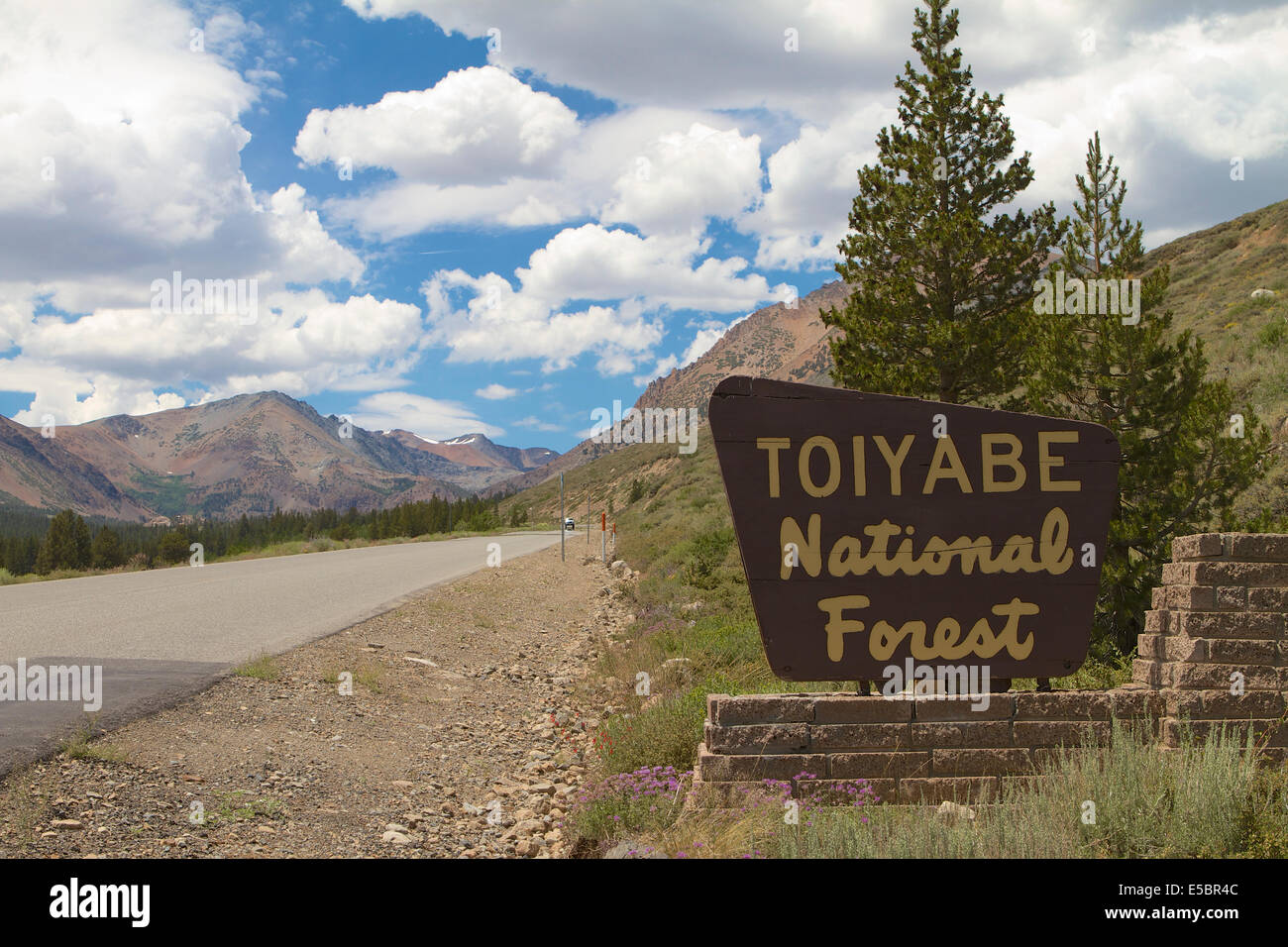 Entering white mountain national forest hi-res stock photography and ...