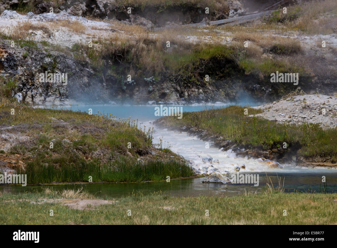 Mammoth hot creek geothermal springs Long Valley Caldera California ...