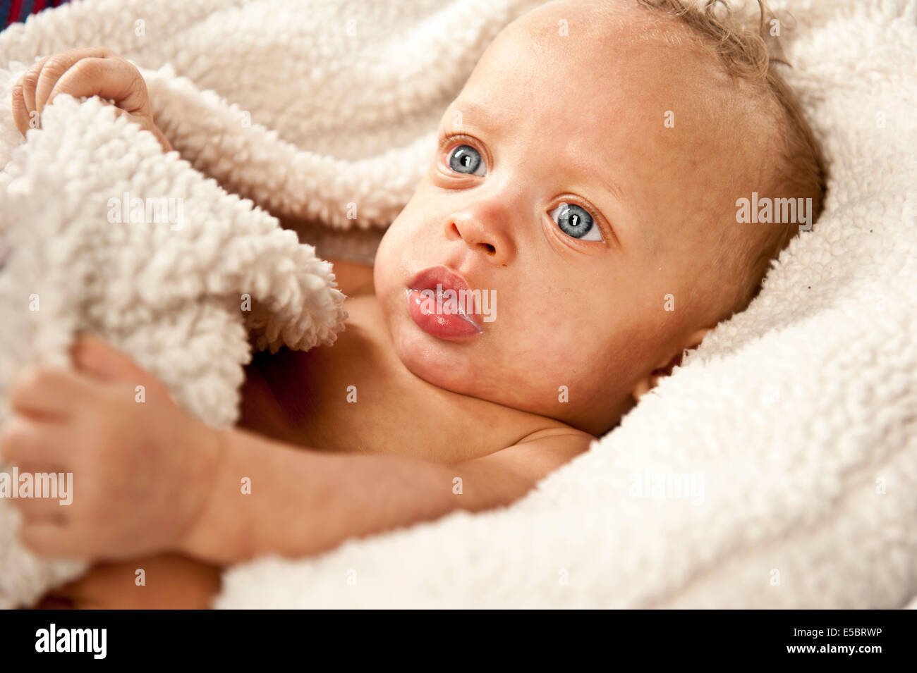 A cute baby isolated on a white background Stock Photo - Alamy
