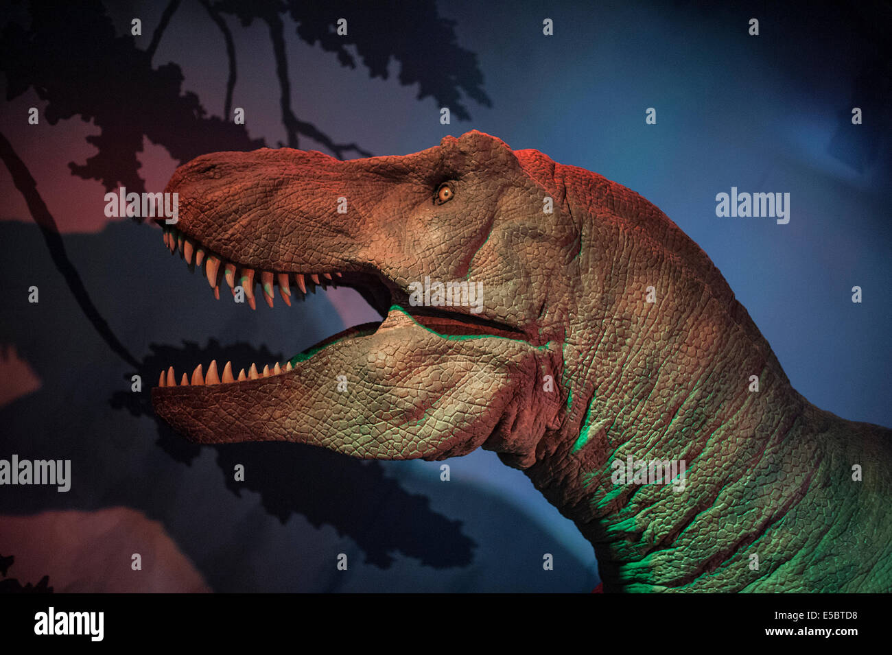Recostruction of Tyrannosaurus rex, Upper Cretacic, Usa, London Natural ...