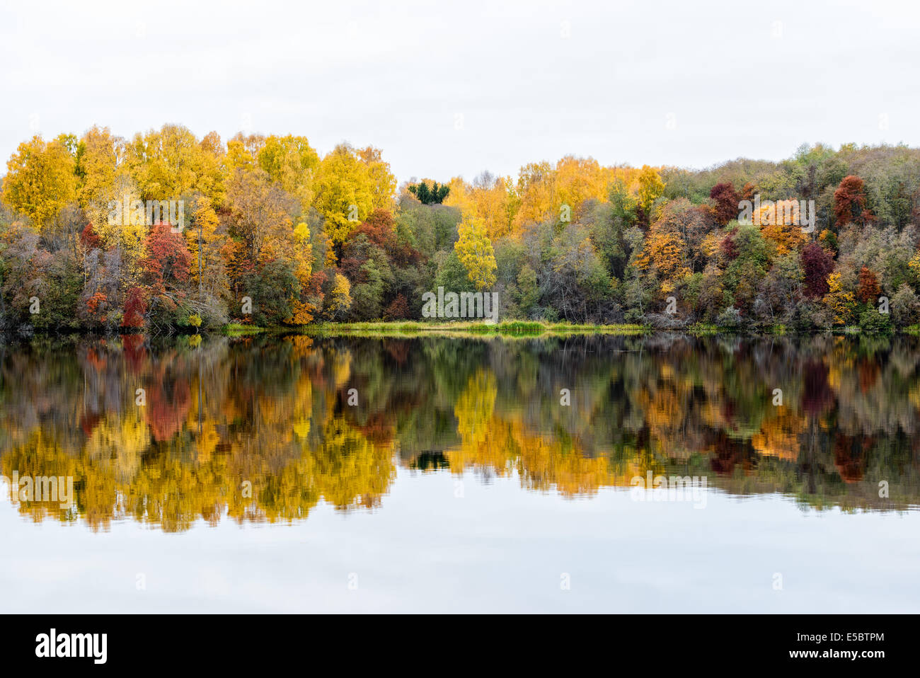 Reflection of autumn trees in river Stock Photo - Alamy