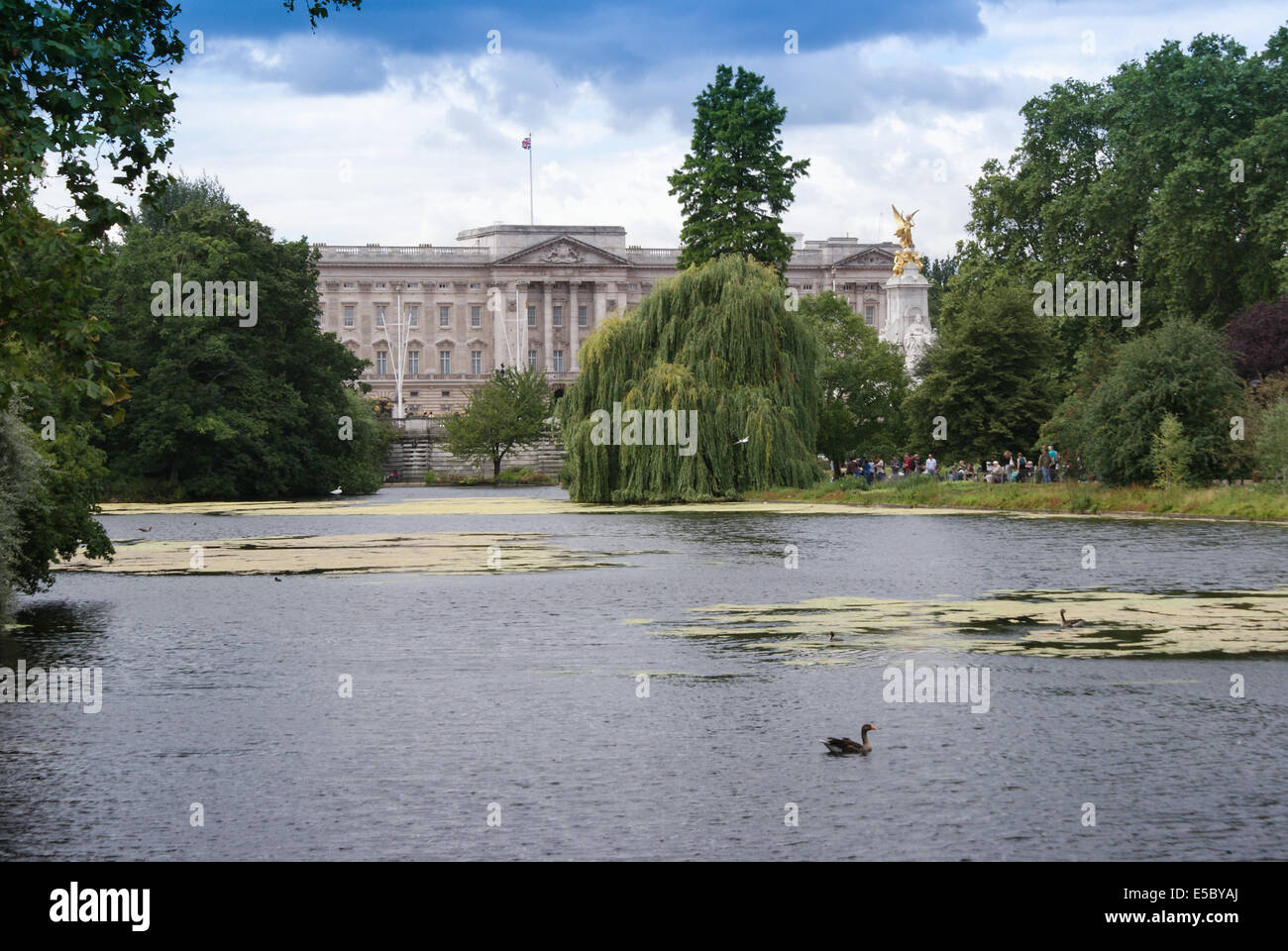 Buckingham Palace view from park Stock Photo - Alamy