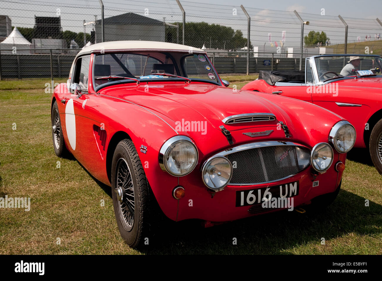 Austin healey 2991cc sports built in 1979 on show at Silverstone ...