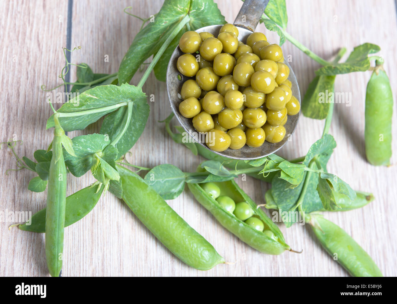 Slotted leaf hi-res stock photography and images - Alamy